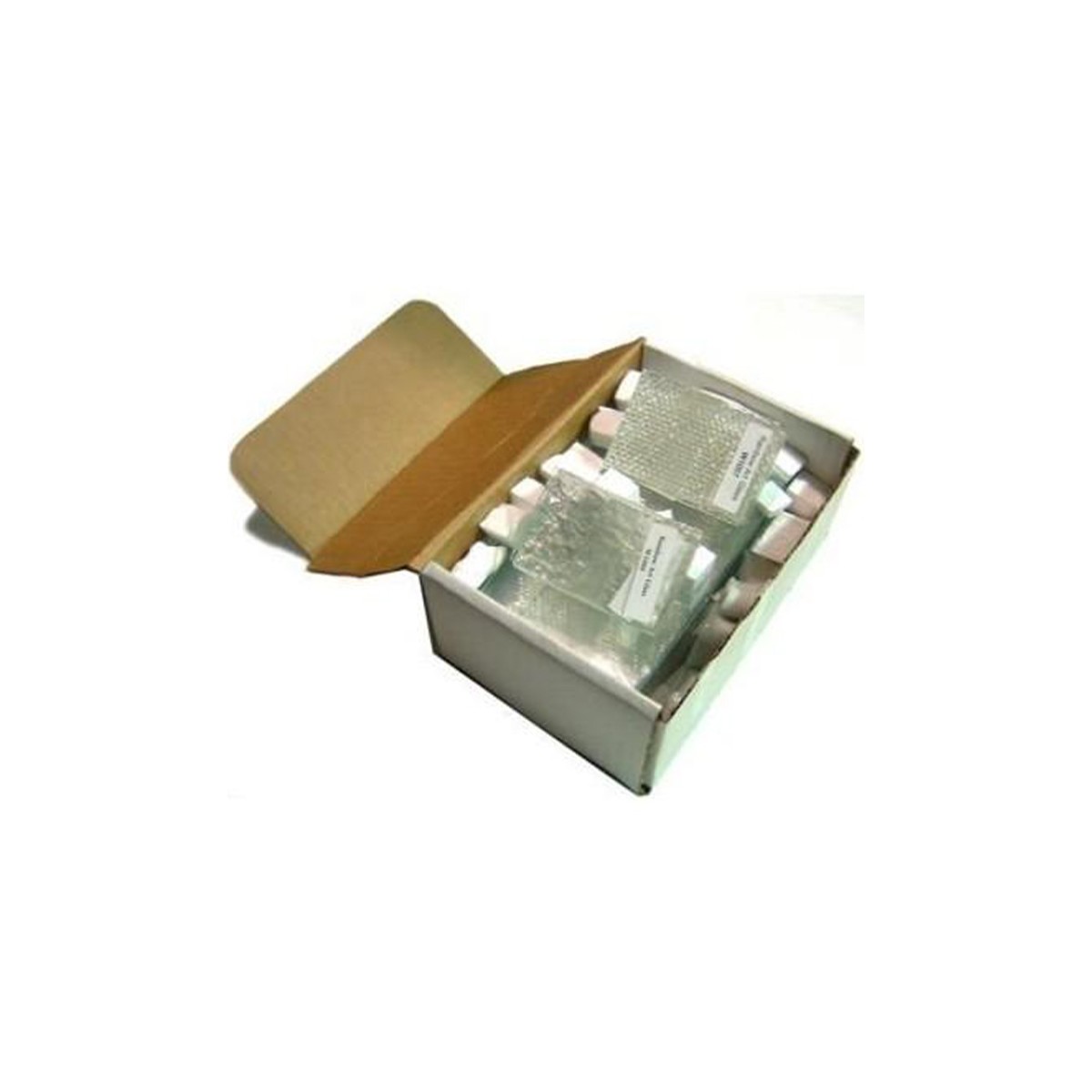 7590-Clear Master Sample Set | Rainbow Art Glass