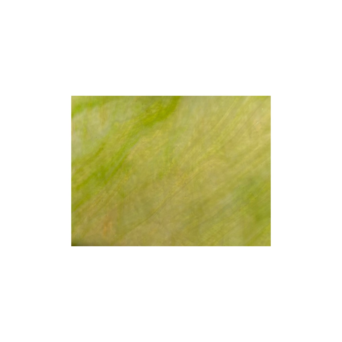 W1108H-Wissmach Avocado Opal Granite (55G) | Rainbow Art Glass