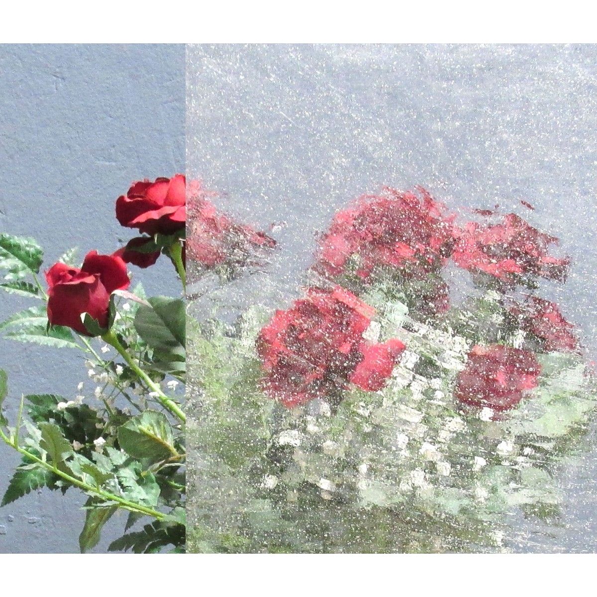 DG1001H - Designer Glass Clear Seedy | Rainbow Art Glass
